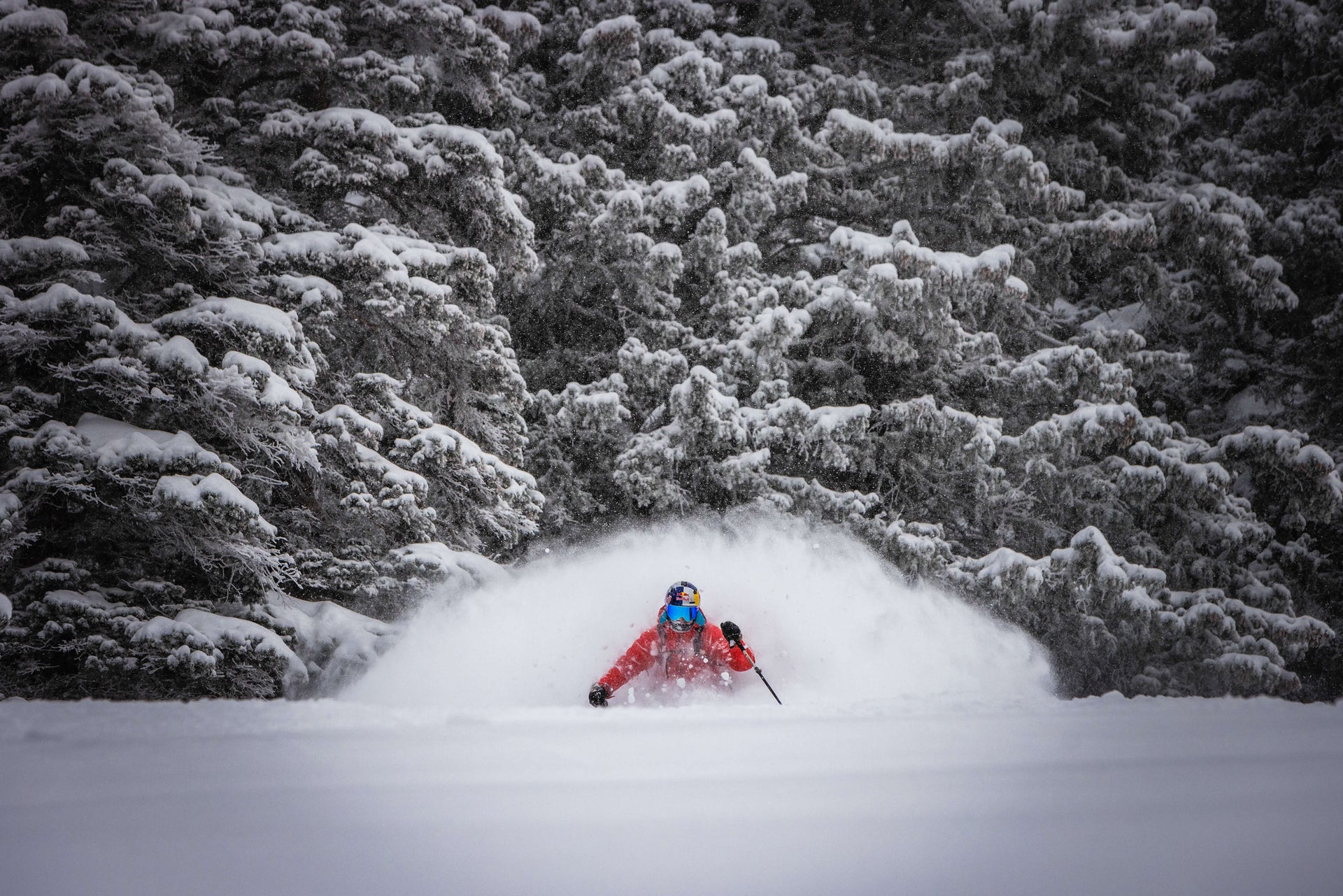 The Freeski Company | Movement Skis